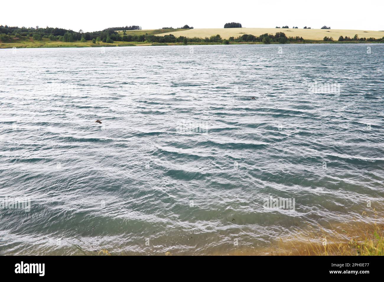 Water surface. The texture of the water. Waves on the lake windy ...