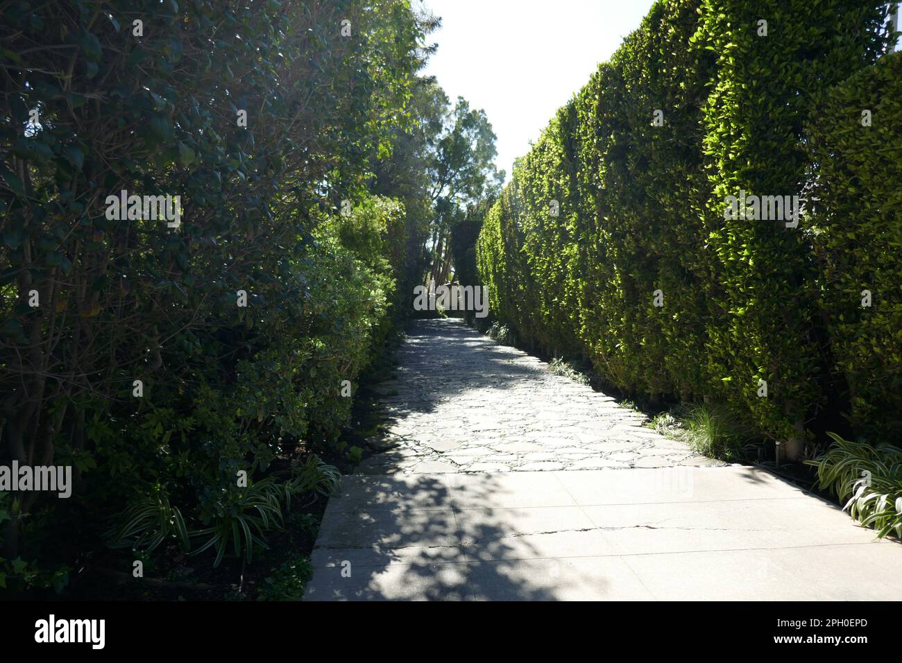 Los Angeles, California, USA 24th March 2023 233 Actress Doris Dudley ...