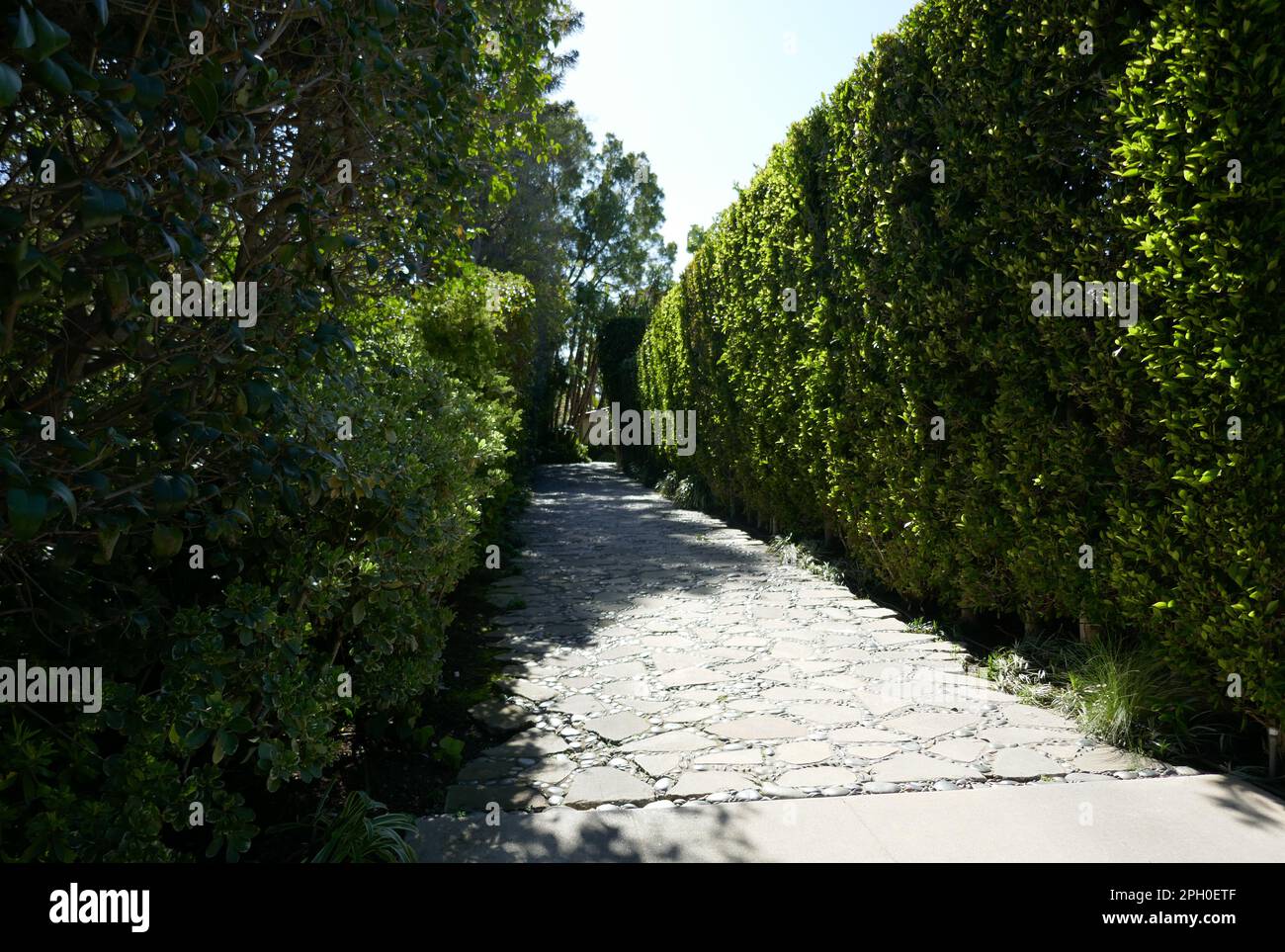 Los Angeles, California, USA 24th March 2023 233 Actress Doris Dudley ...