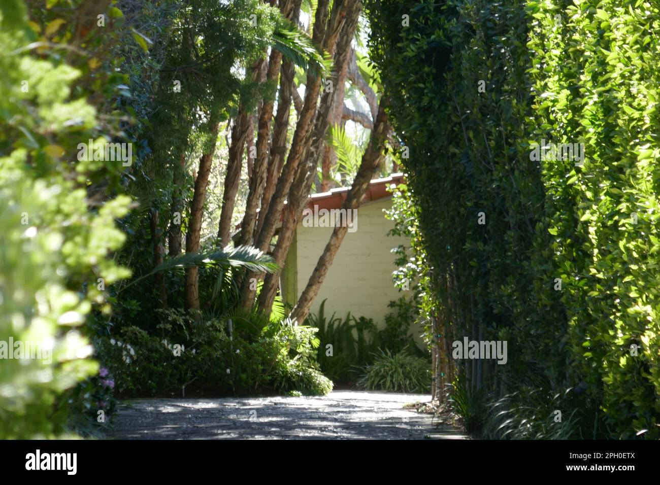 Los Angeles, California, USA 24th March 2023 233 Actress Doris Dudley ...