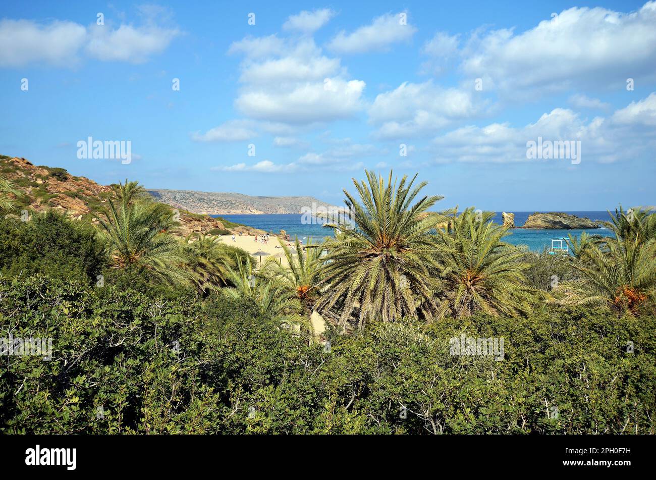 Greece, the beach of Vai a popular but difficult to reach and protected ...