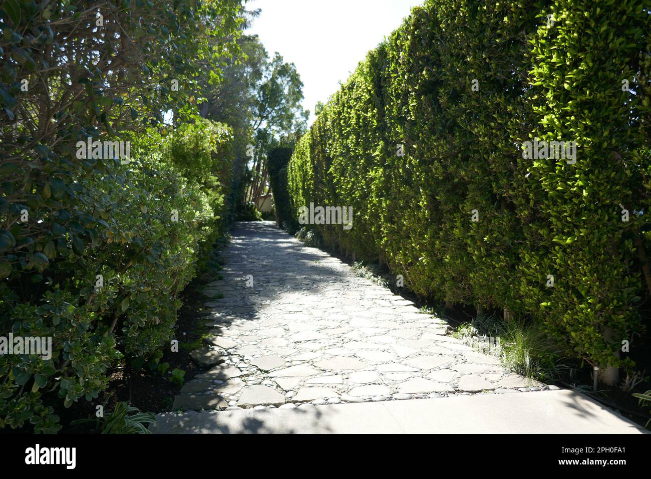 Los Angeles, California, USA 24th March 2023 233 Actress Doris Dudley ...