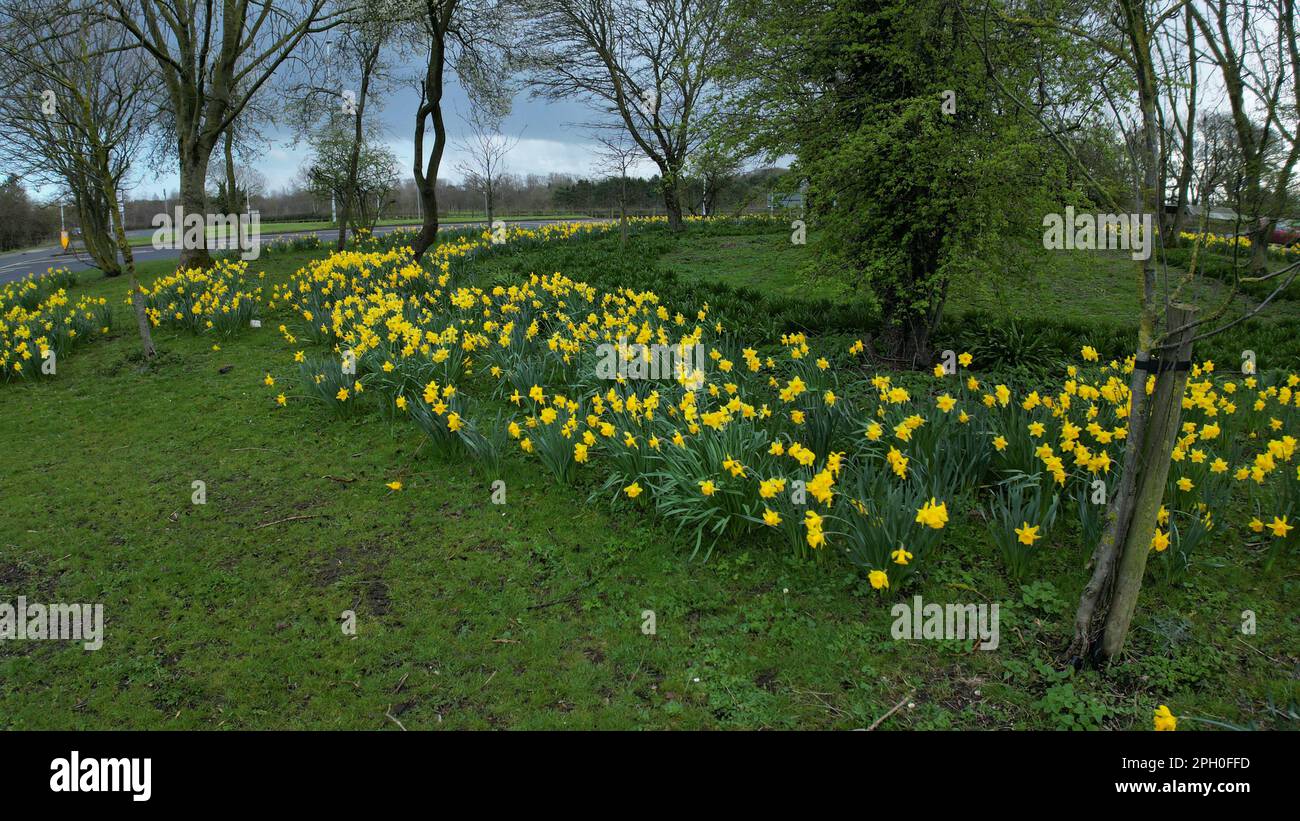 Spring yorkshire wolds hi-res stock photography and images - Alamy