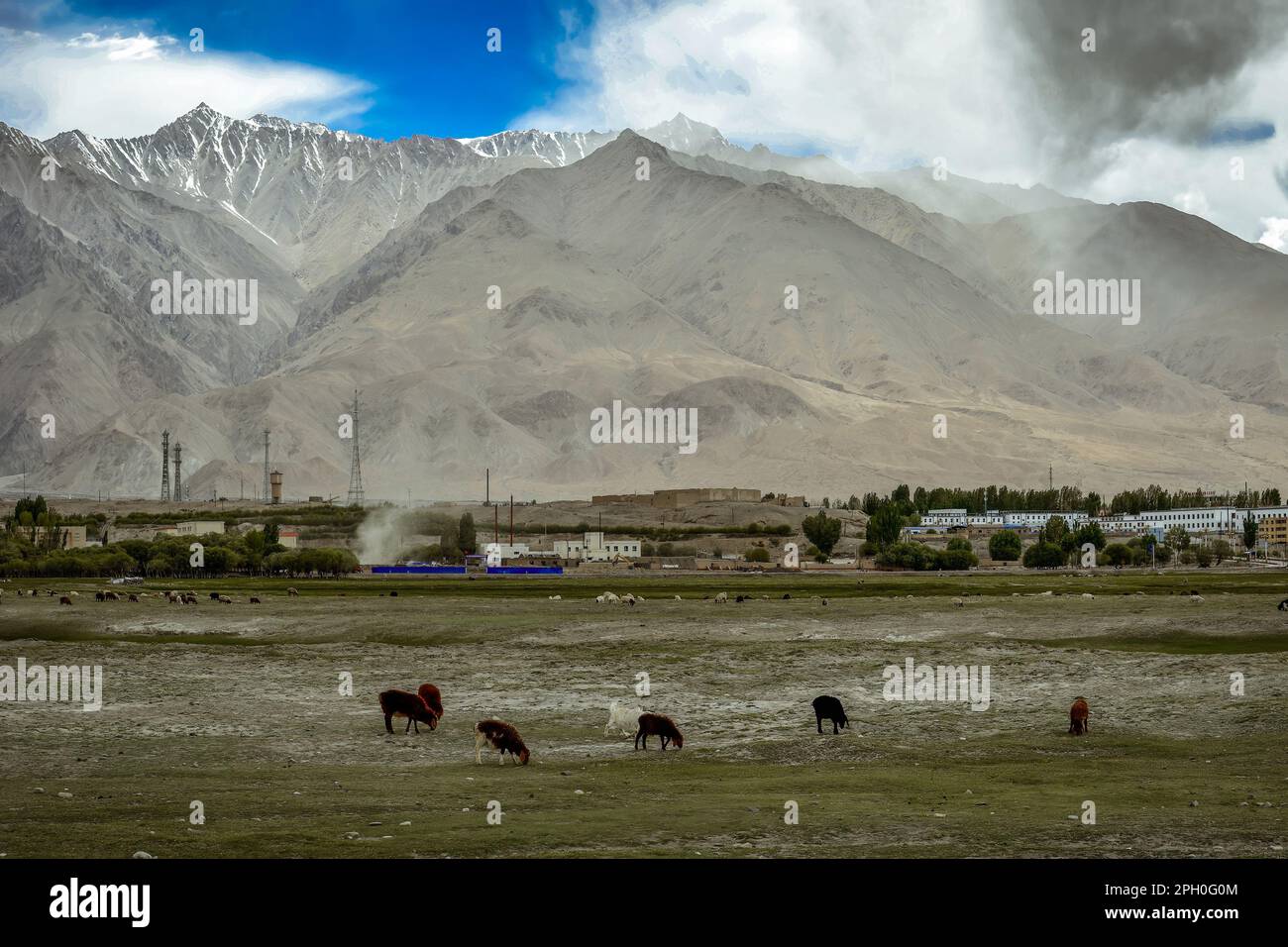 Alar National Wetland Park is surrounded by high mountains, with ...