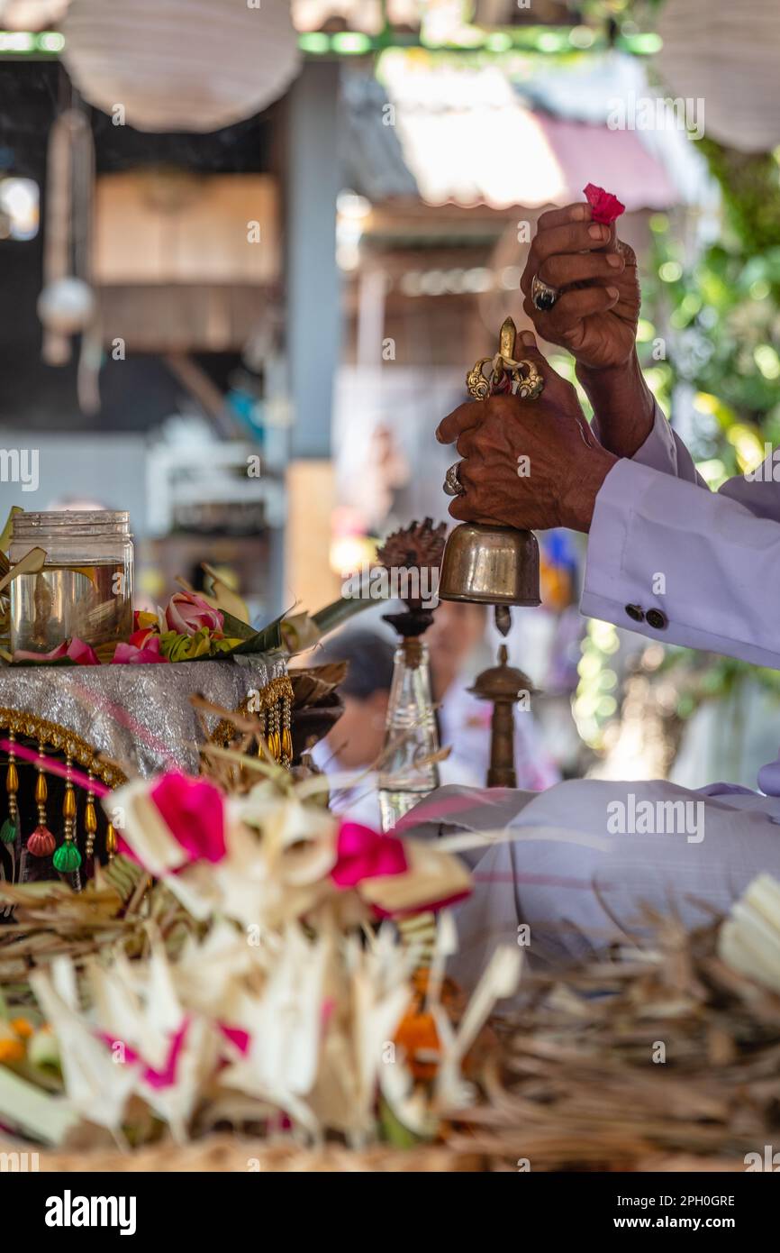 Balinese Hindu priest pemangku dressed in white holding a bell ...