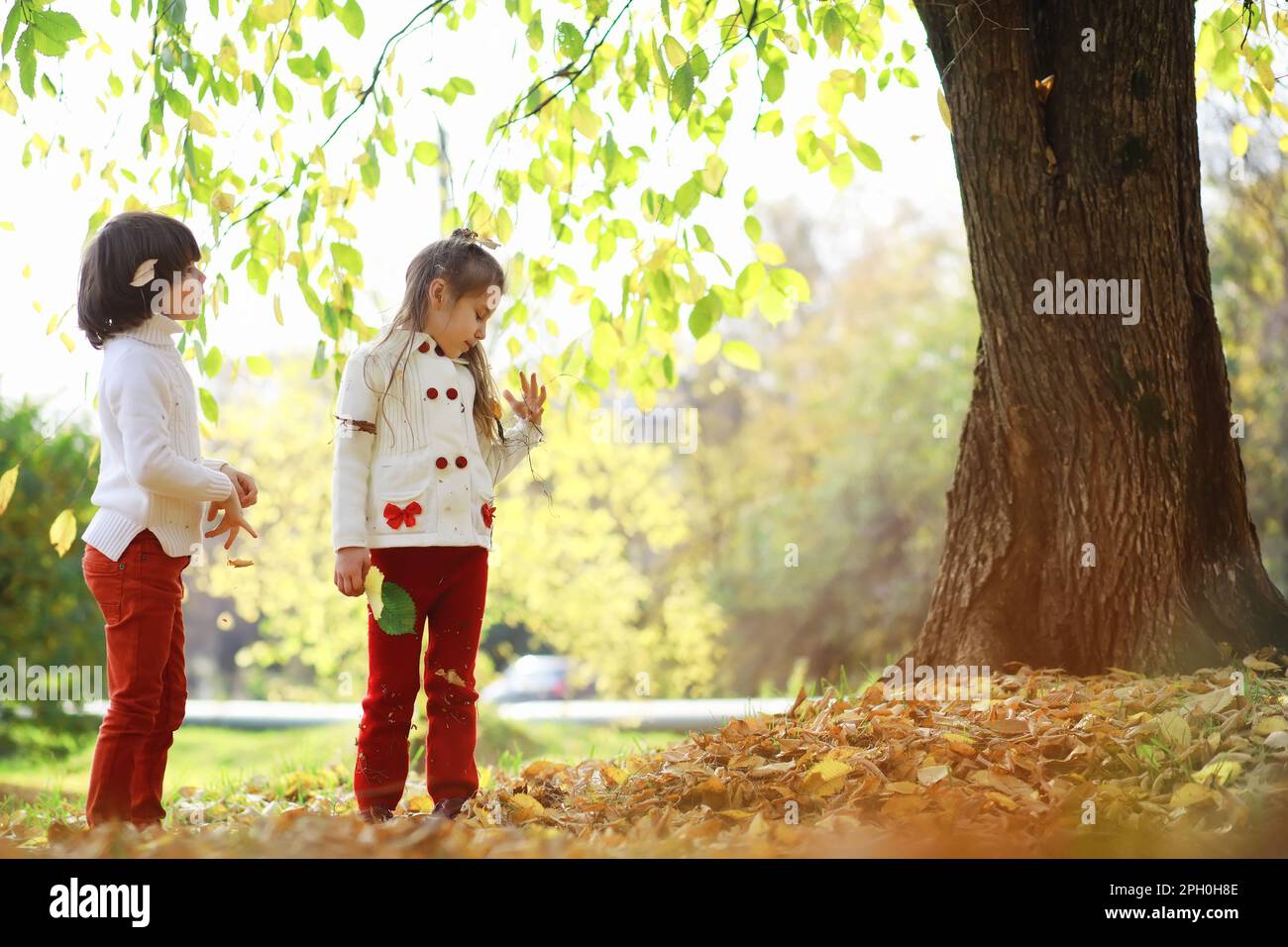 Children for a walk in autumn park. Leaf fall in the park. Family. Fall ...