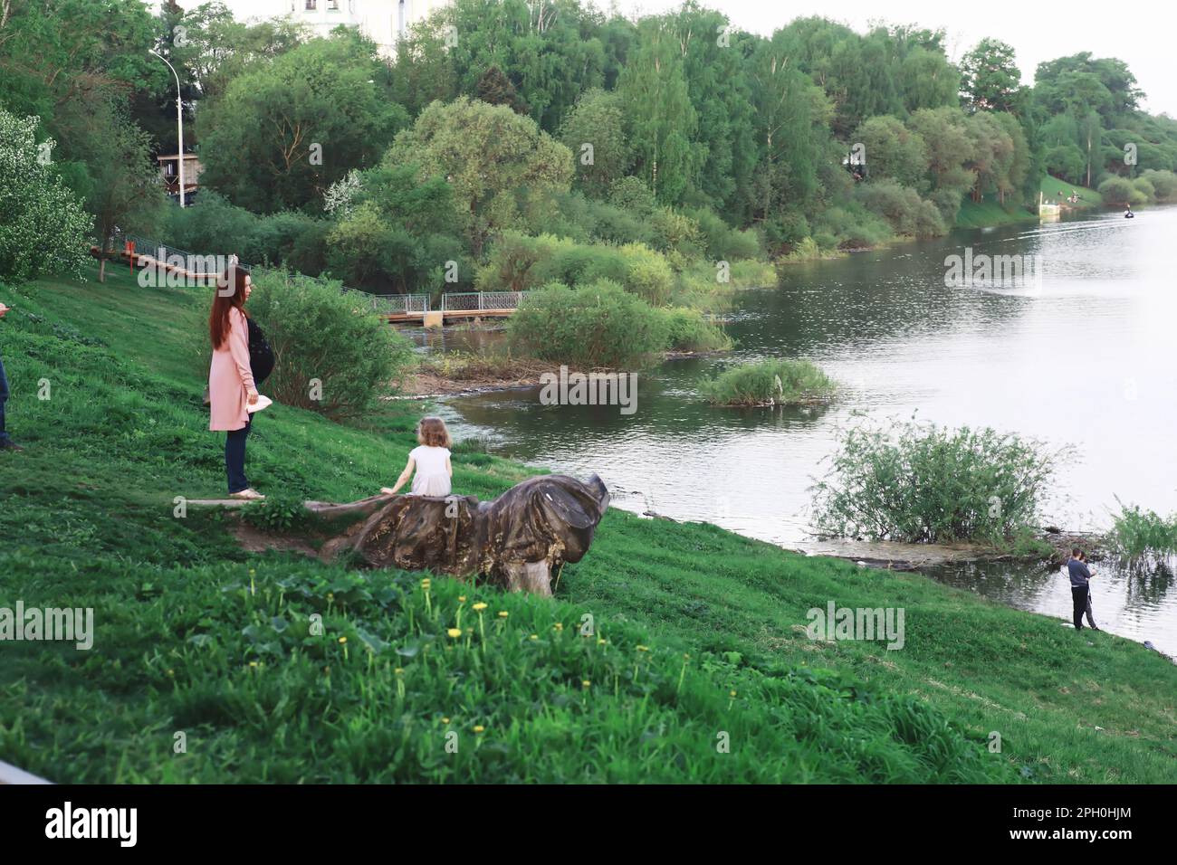 Spring nature background. Greenery trees and grasses on a sunny spring ...