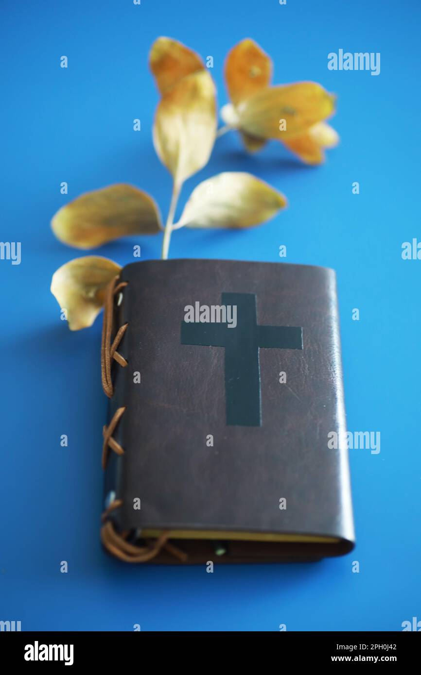 Book with the symbol the cross. Bible study. Religious book. Prayer ...