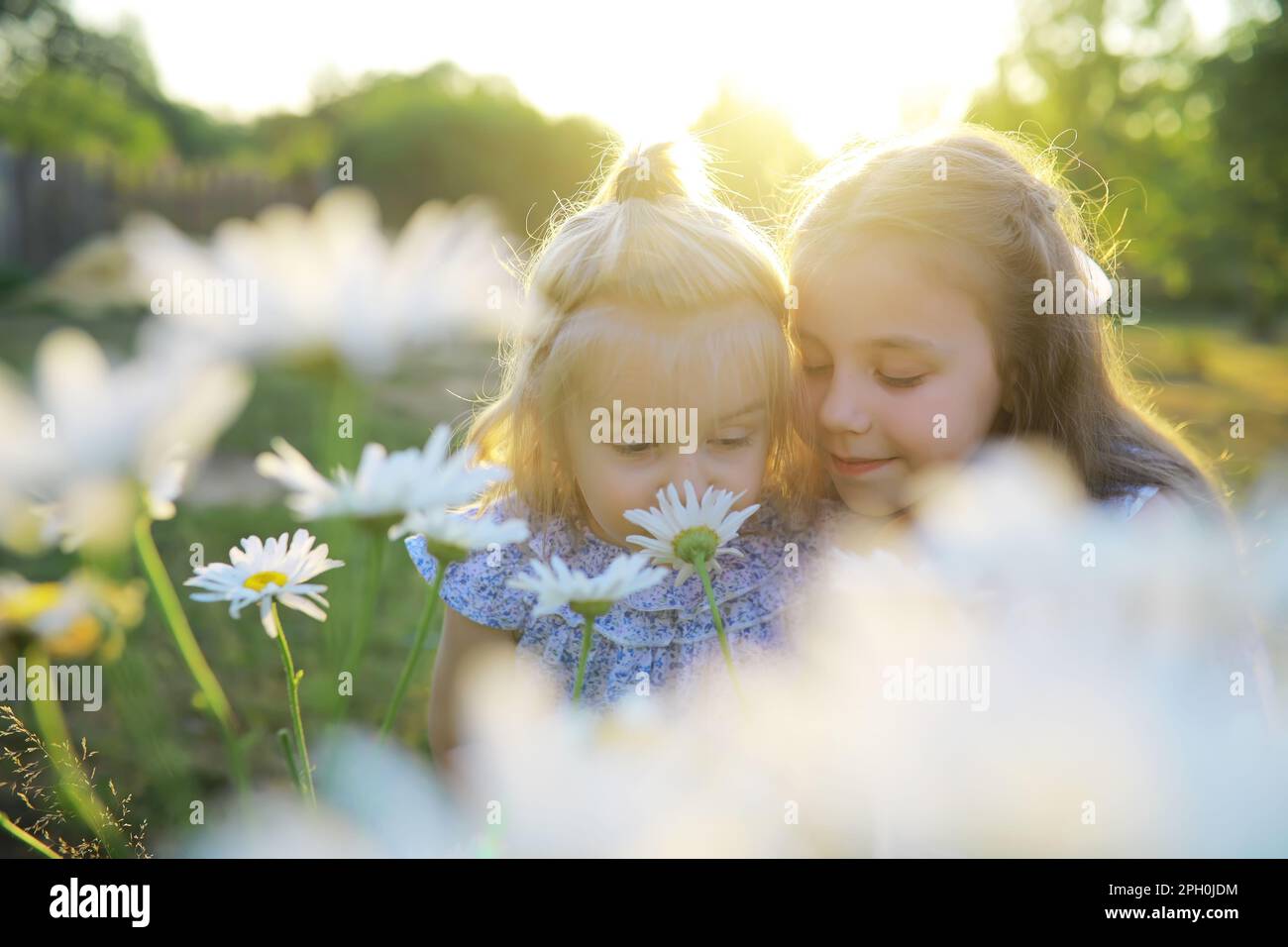 Children walk in the summer in nature. Child on a sunny spring morning ...