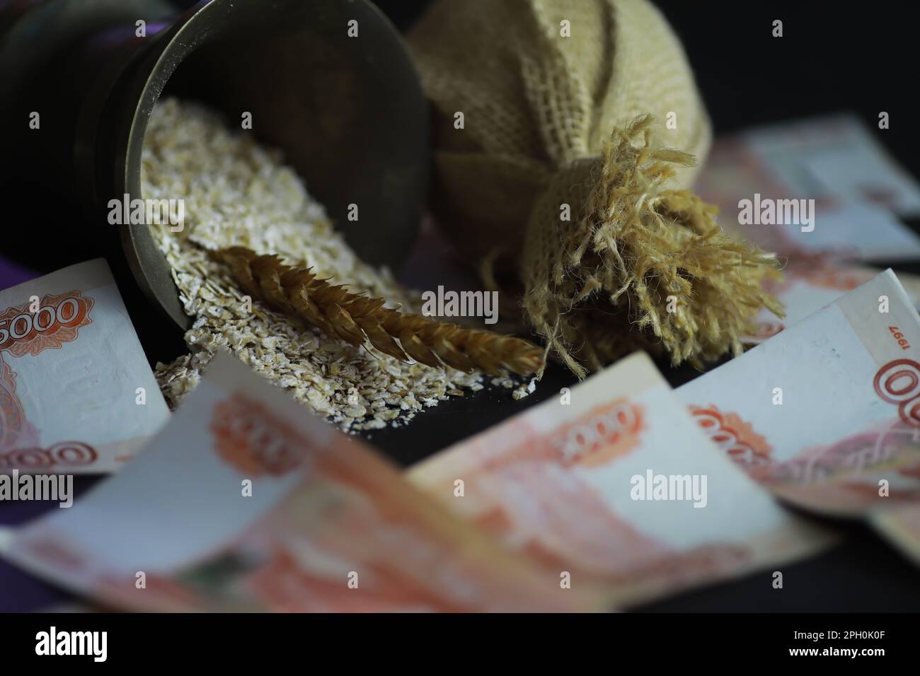 The concept of the cost of grain. 5000 ruble banknotes around a handful ...