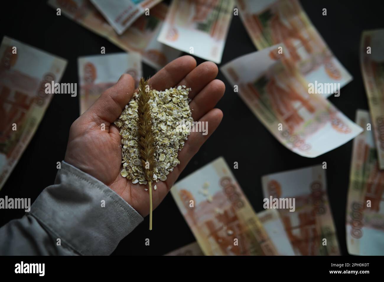 The concept of the cost of grain. 5000 ruble banknotes around a handful ...