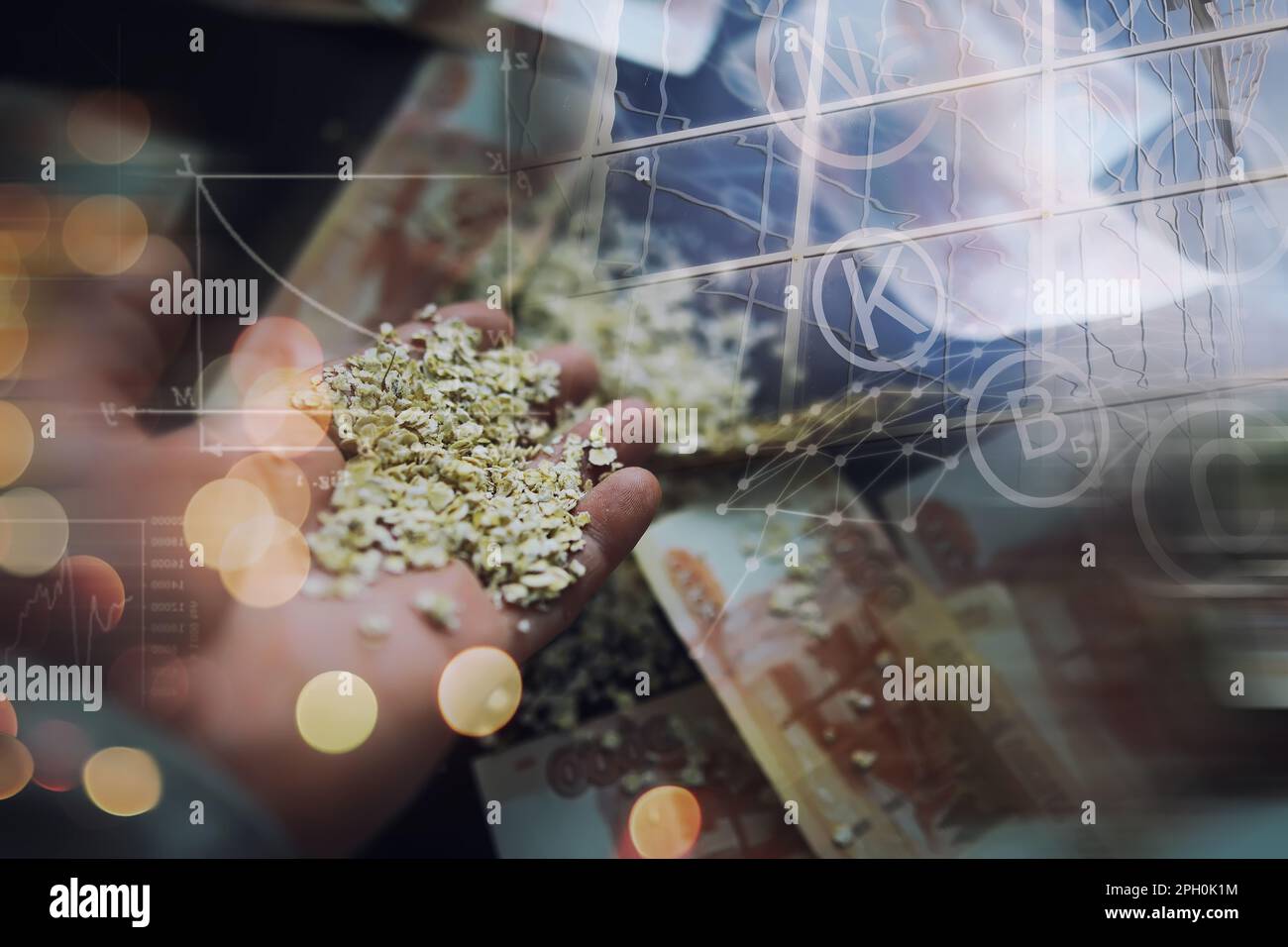 The concept of the cost of grain. 5000 ruble banknotes around a handful ...