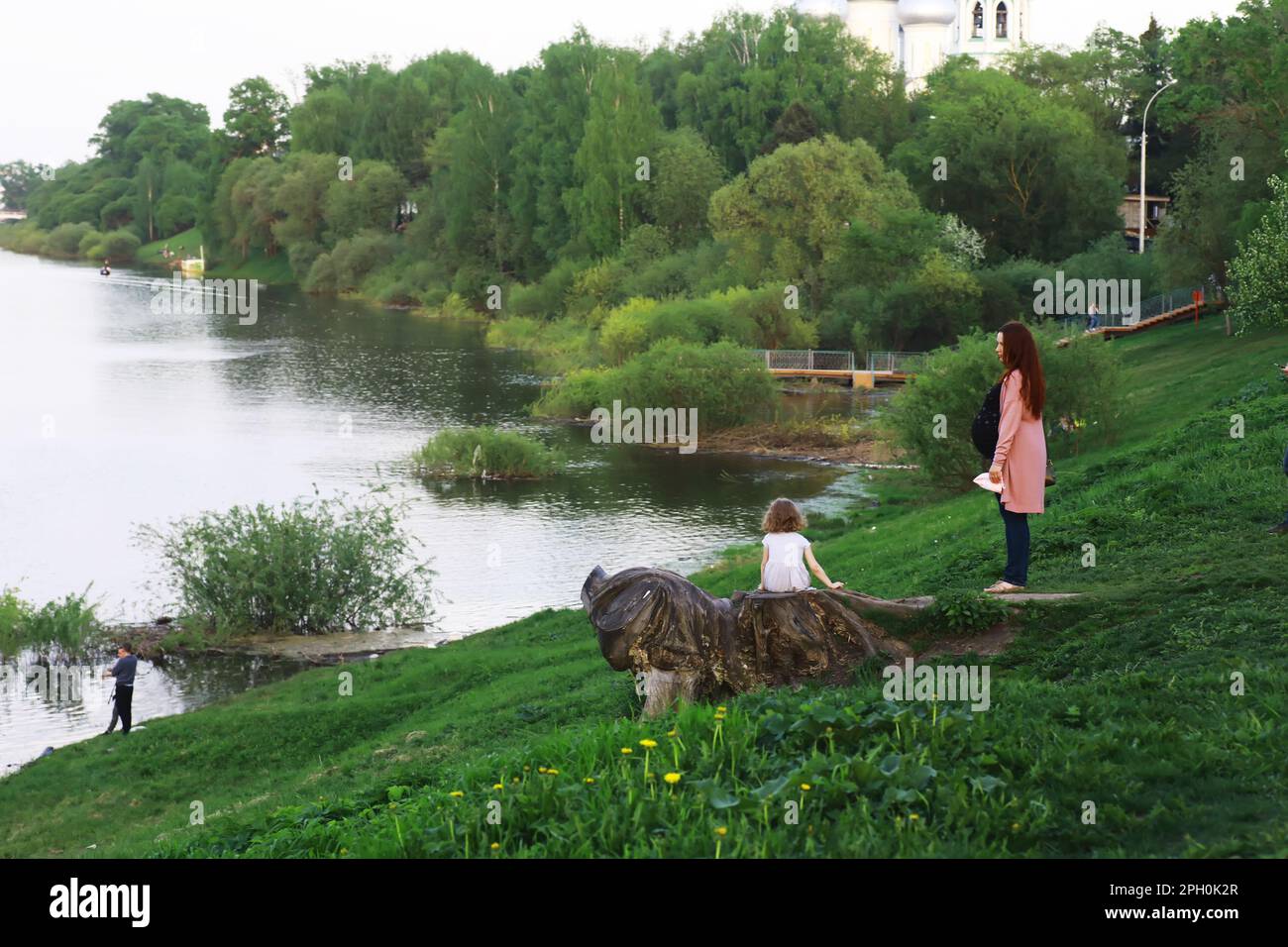 Spring nature background. Greenery trees and grasses on a sunny spring ...