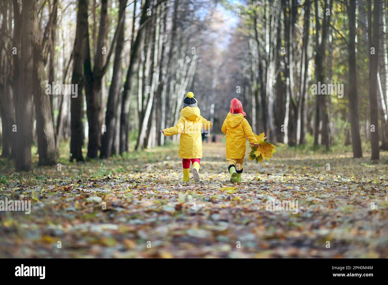 Little children are walking in the autumn park in the fall of leaves ...