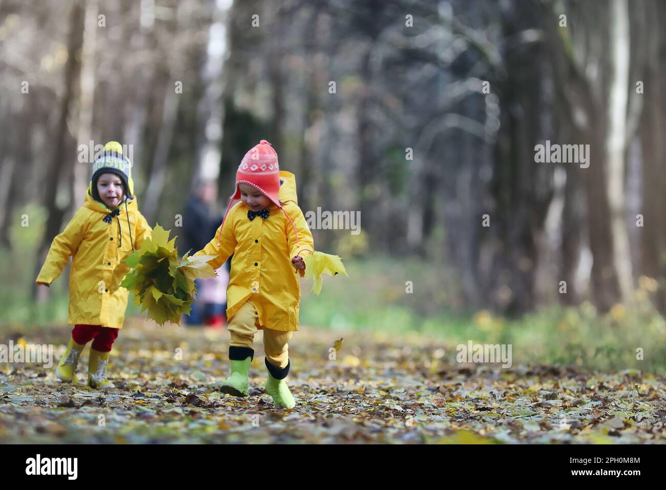 Little children are walking in the autumn park in the fall of leaves ...