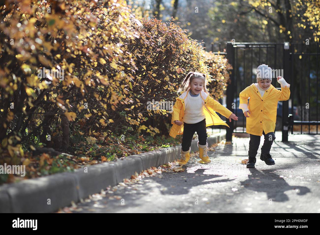 Children walk in the autumn park in the fall Stock Photo - Alamy