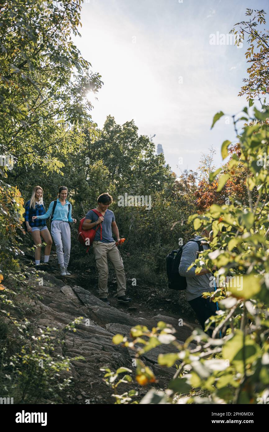 Four hikers going down at the top of the mountain Stock Photo - Alamy