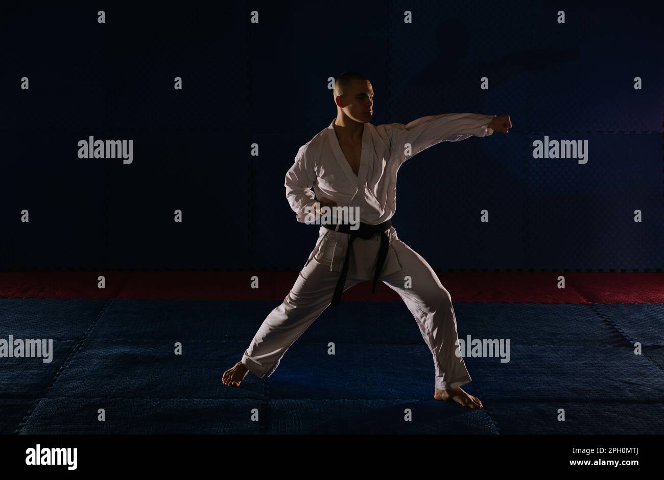 Silhouette of a young karatist doing one karate pose at the karate ...