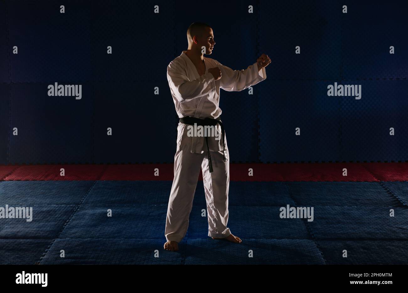 Neko ashi dachi hi-res stock photography and images - Alamy