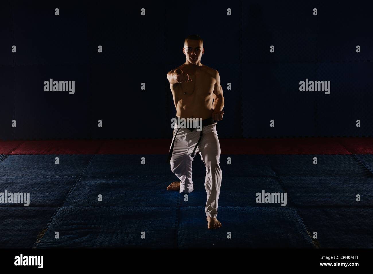 Handsome and young karatist doing the Oi tsuki pose at the karate ...