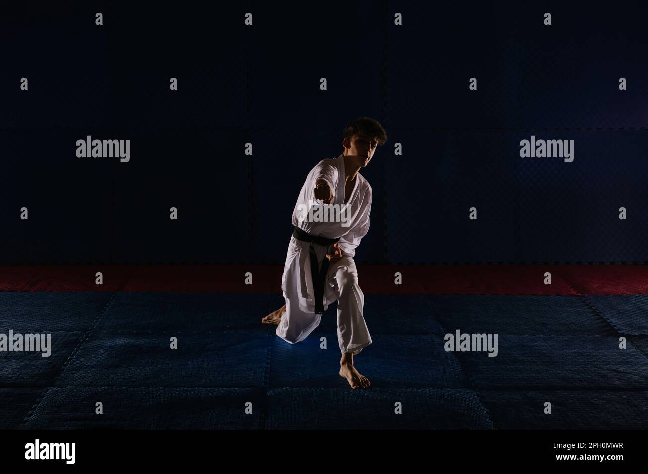 Silhouette of a young man doing the Zenkutsu Dachi pose at the karate ...