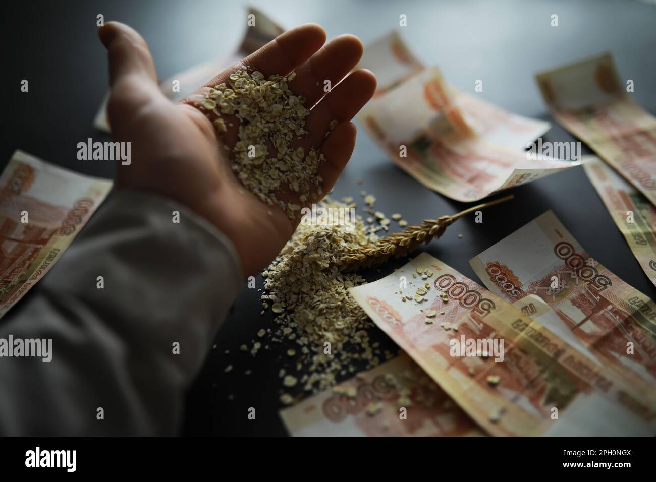 The concept of the cost of grain. 5000 ruble banknotes around a handful ...