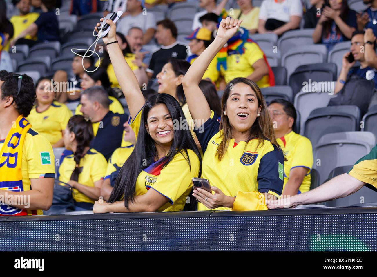 Stadium australia socceroos sydney fans hi-res stock photography and ...