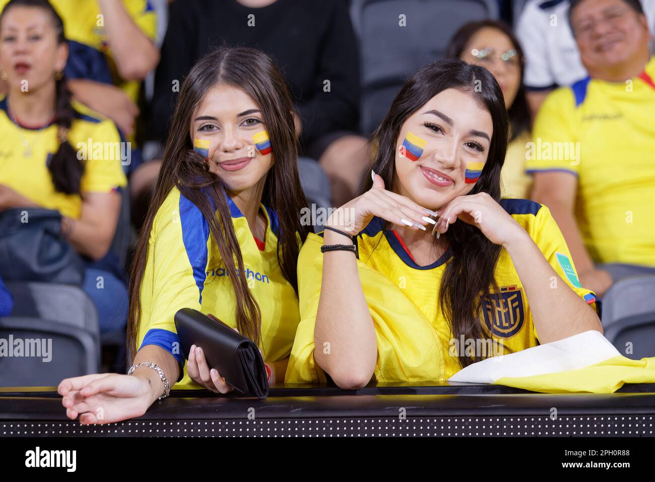 Ecuador fans show their support during the match between Australian ...