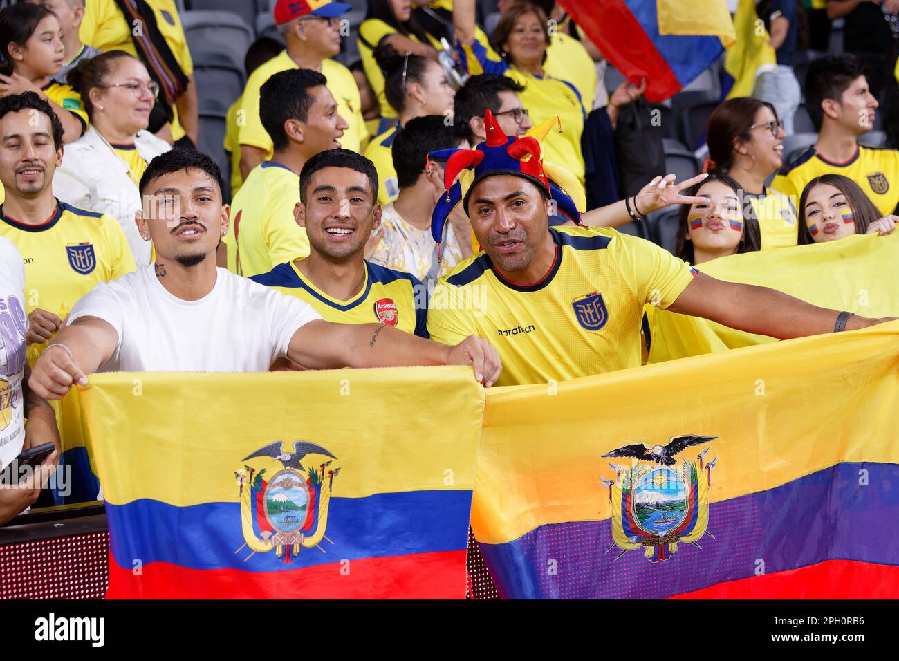 Ecuador fans show their support during the match between Australian ...