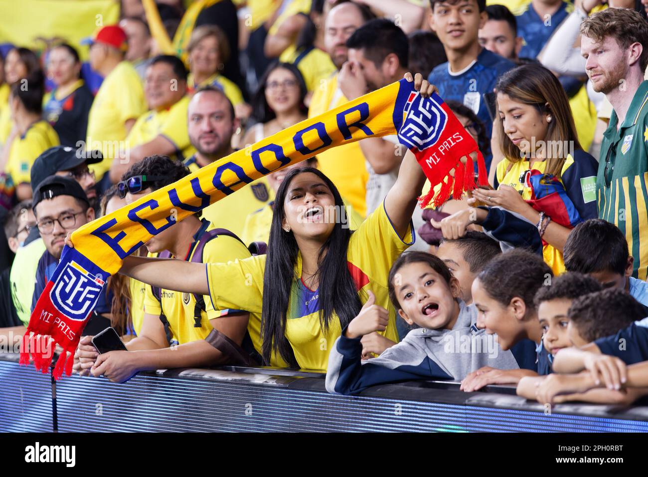 Ecuador fans show their support during the match between Australian ...