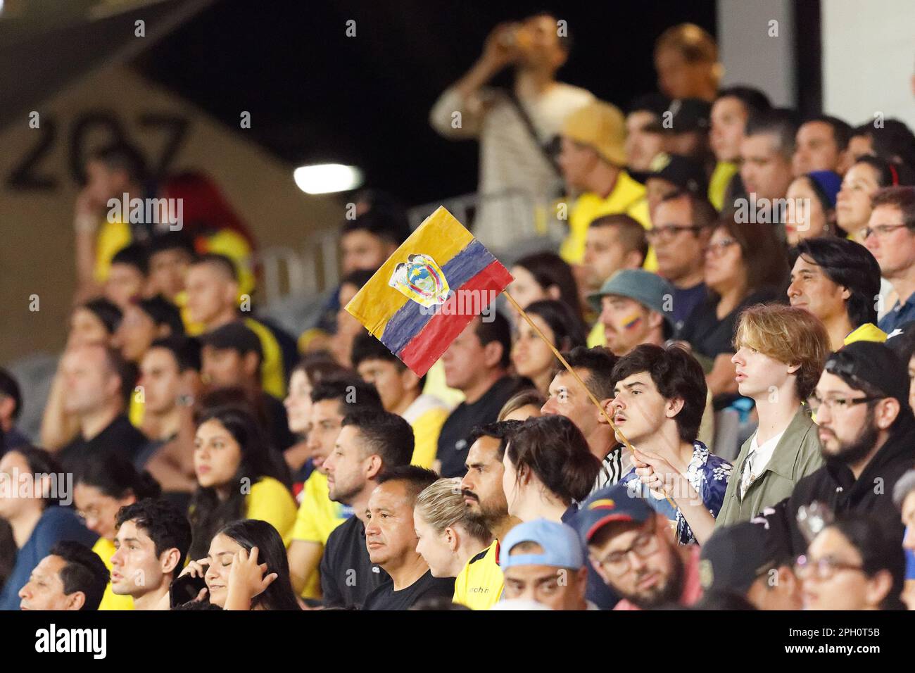 Ecuador supporters enjoying the game during the match between ...