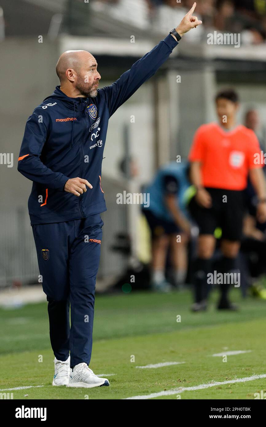 Coach, Félix Sánchez of Ecuador communicates to his players on during ...