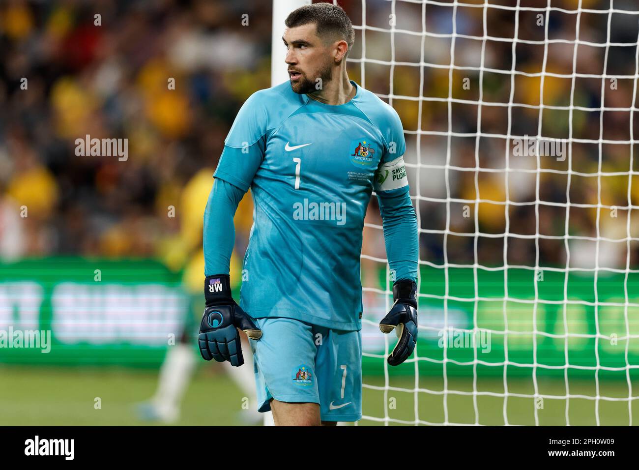 Mathew Ryan of Australia looks on during the match between Australia ...