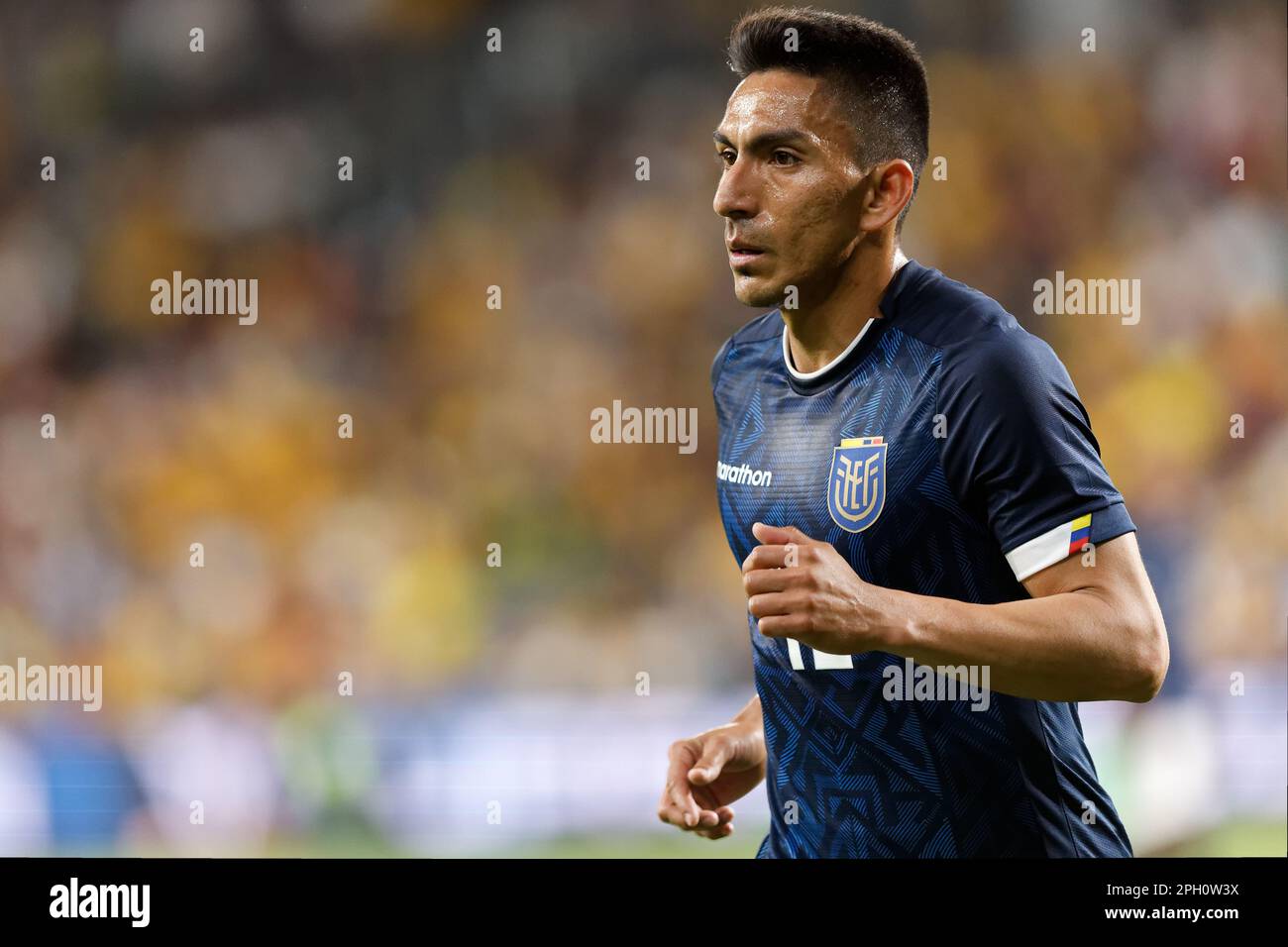 Angel Mena of Ecuador looks on during the match between Australia and ...
