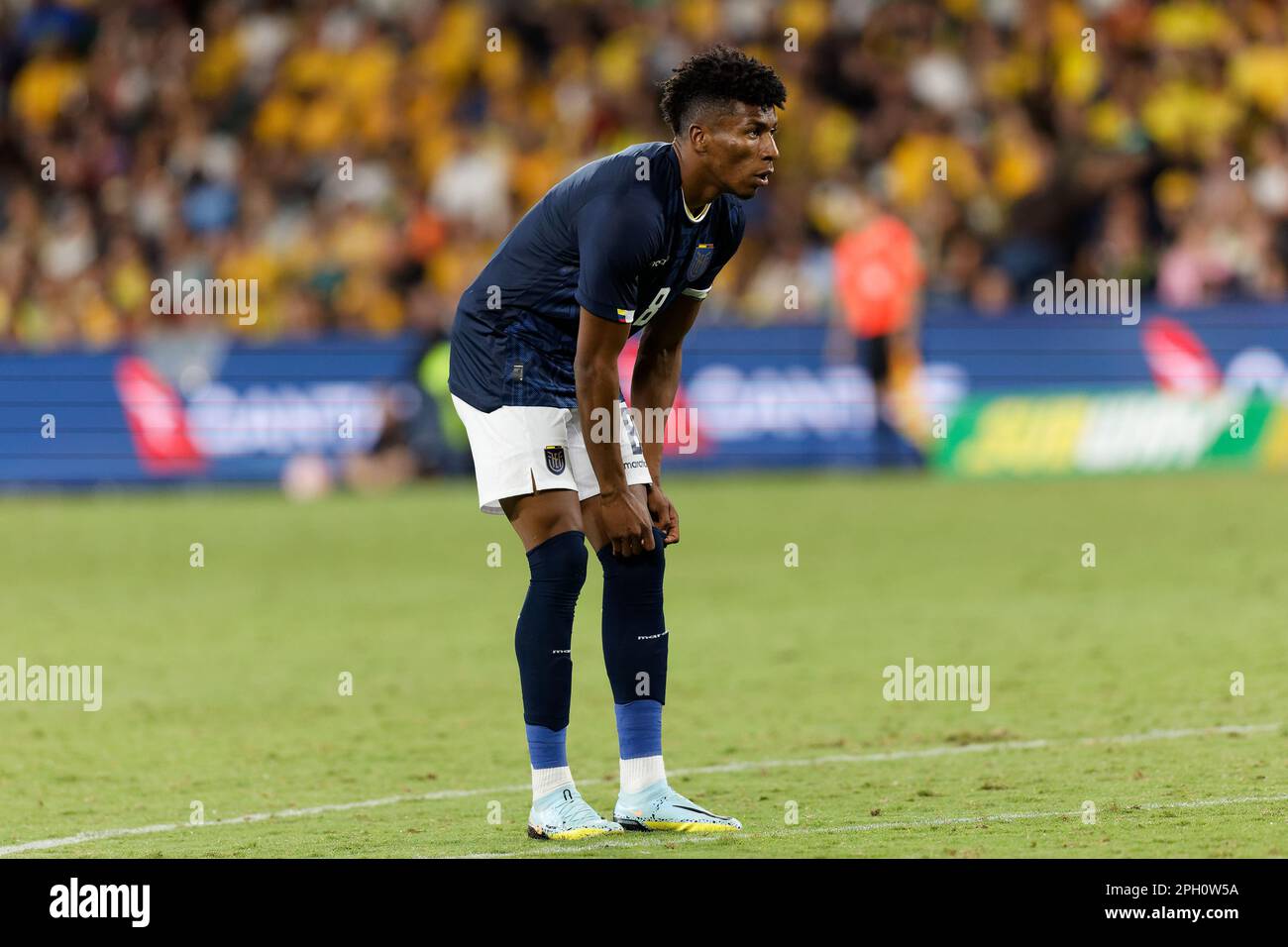 Kevin Rodriguez of Ecuador looks on during the match between Australia ...