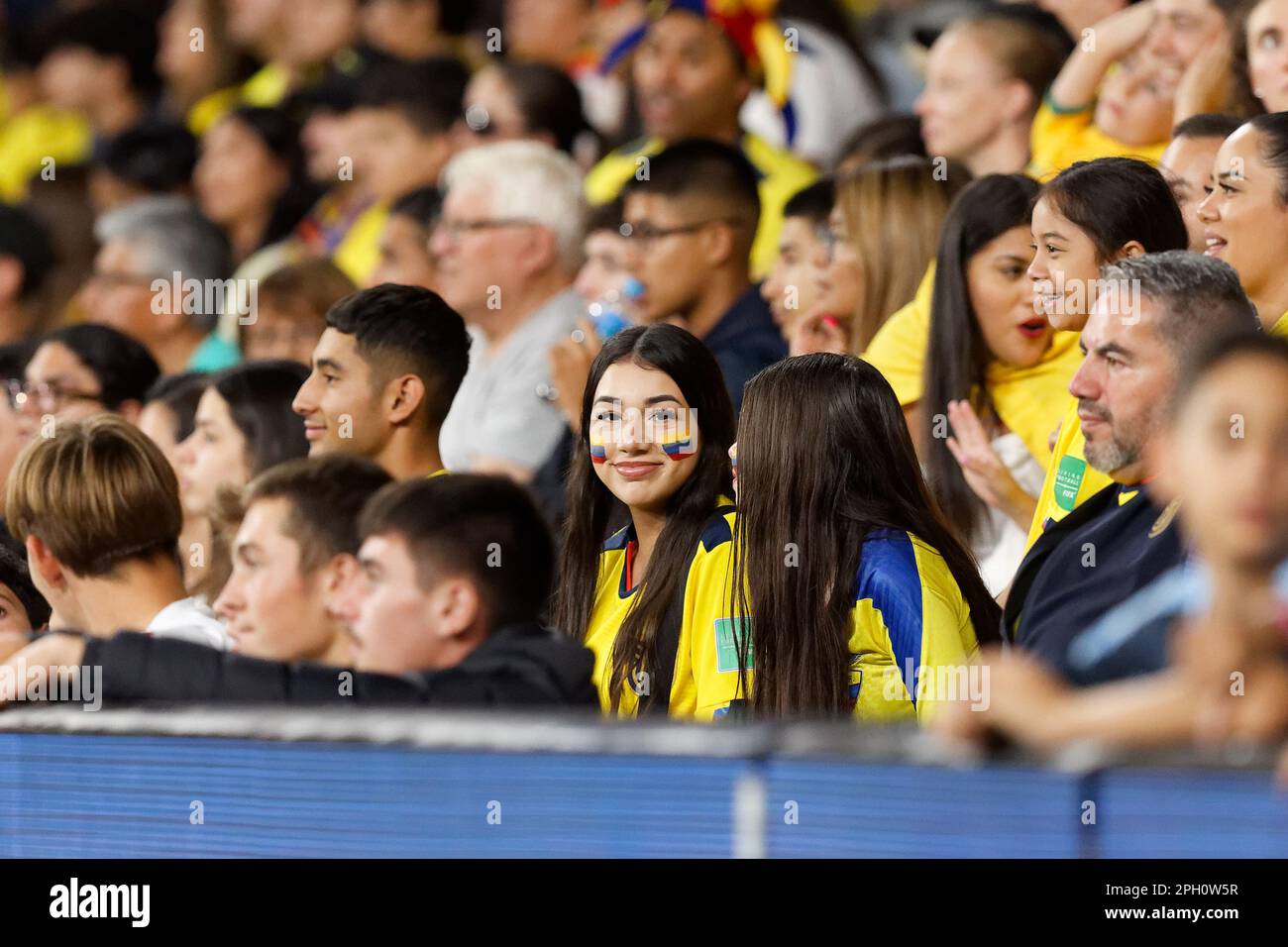 Ecuador fans enjoying the game during the match between Australian ...