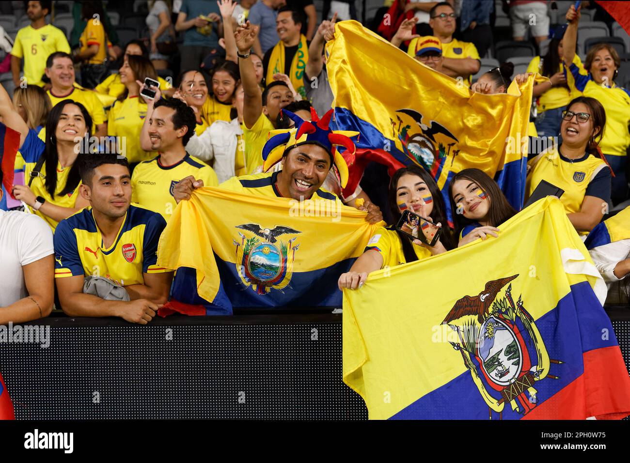 Ecuador fans celebrate during the match between Australian Socceroos ...