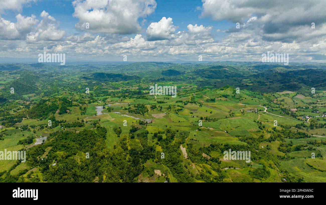 Sugar cane plantations and farmland on the slopes of the hills. Negros ...