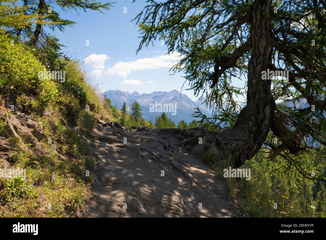 The look from path of treckking Mont Blanc from Val Ferret valley to ...