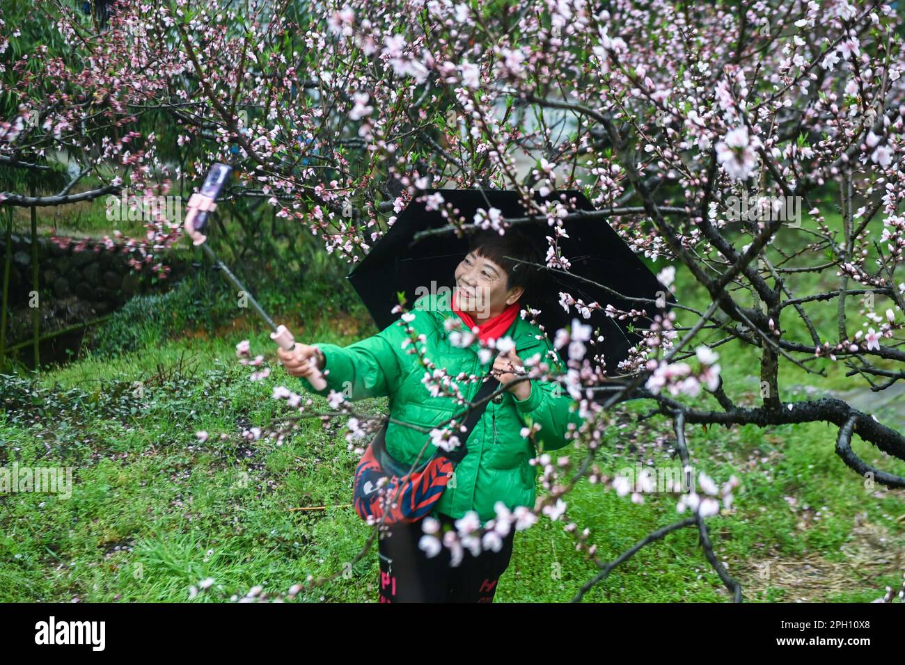 Hangzhou, China's Zhejiang Province. 25th Mar, 2023. A tourist takes a ...