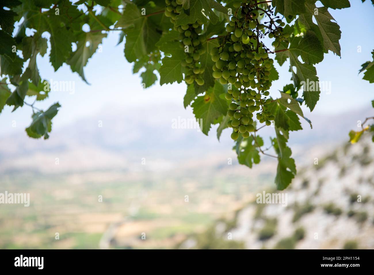 Panorama landscape Plato height on Crete. High quality photo Stock ...