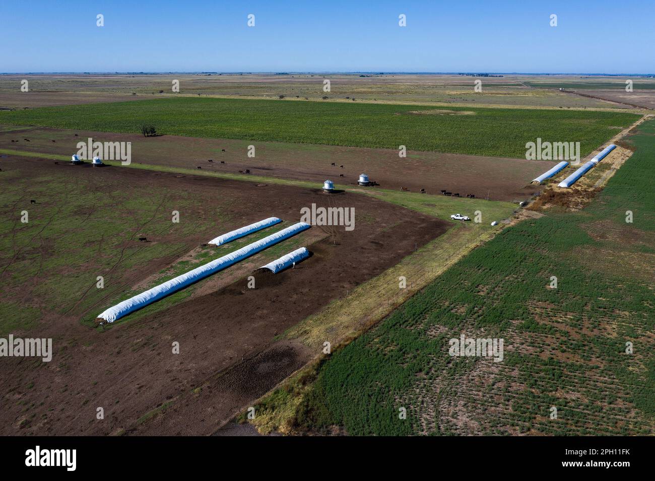 Agricultural production in Argentine Countryside, La Pampa Province ...