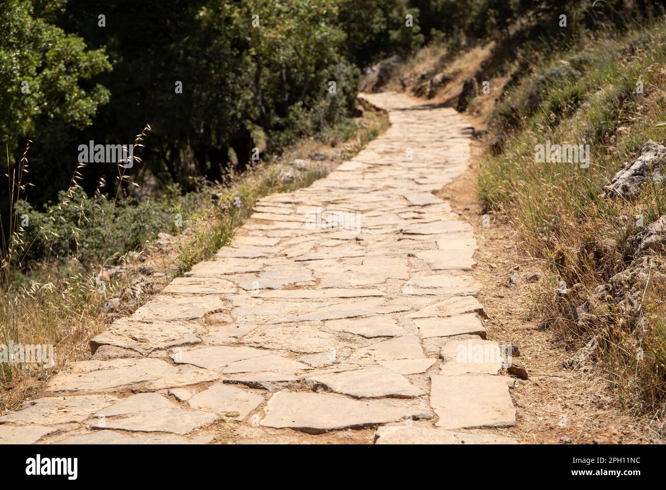 Gravel path with slabs hi-res stock photography and images - Alamy