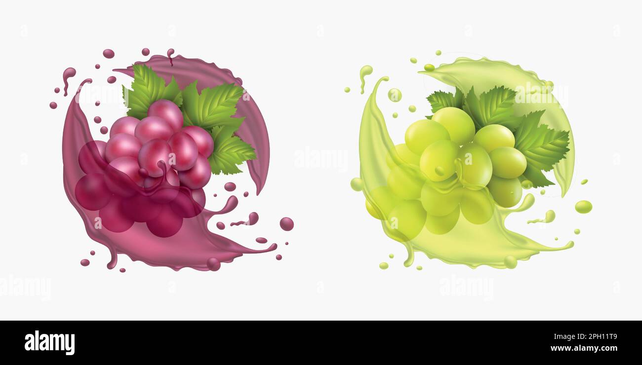 Bordeaux vineyard water Stock Vector Images - Alamy