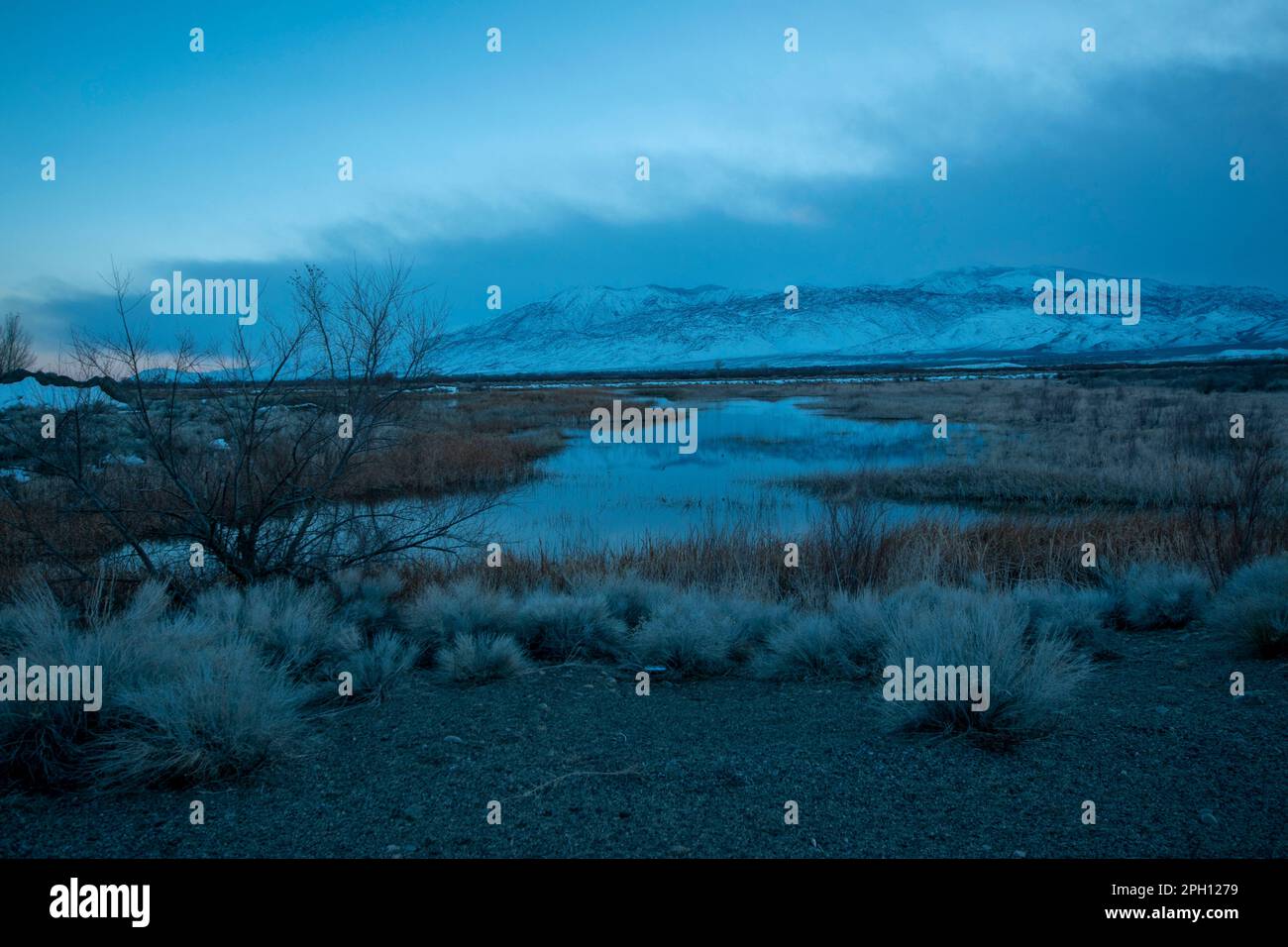 The town of Bishop in Inyo County, CA, USA, is beautiful under a ...