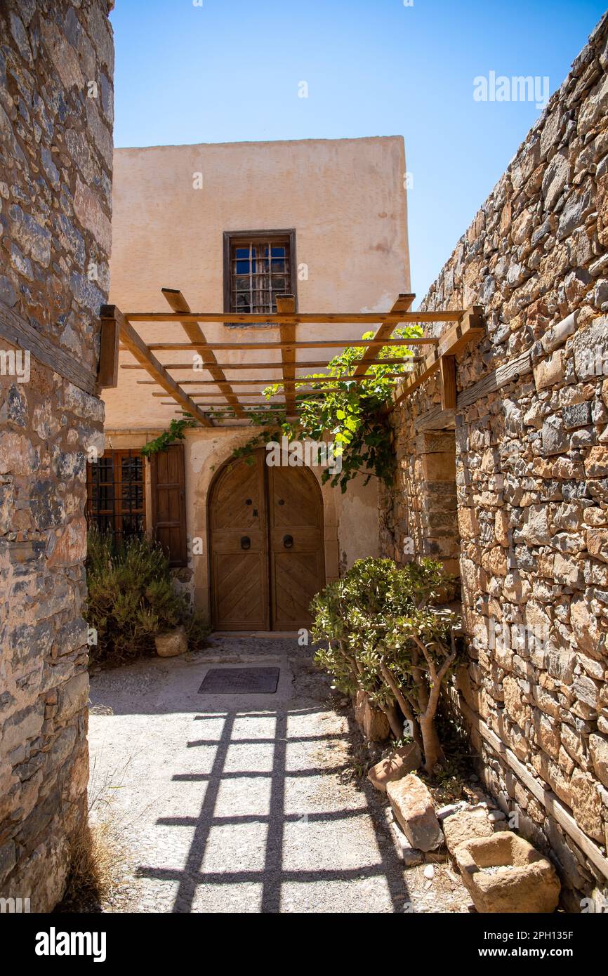 Trellis with grapes in front of an old house. High quality photo Stock ...