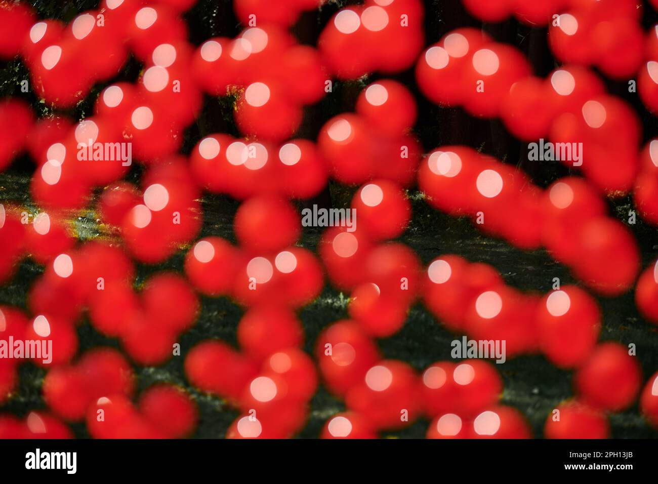 Blurred defocused red balls suspended on wire, outdoor art object ...