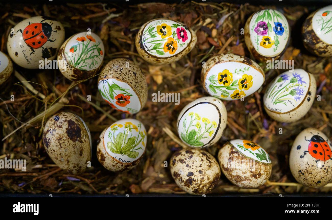 25 March 2023, Lower Saxony, Lübeln: Colorfully painted eggs lie in a ...