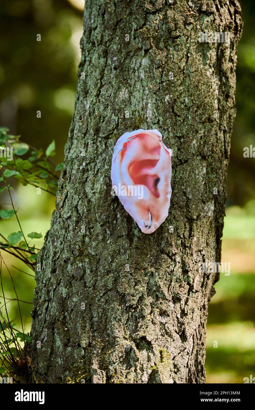 Art object of human ear on tree trunk in green forest background, trees ...
