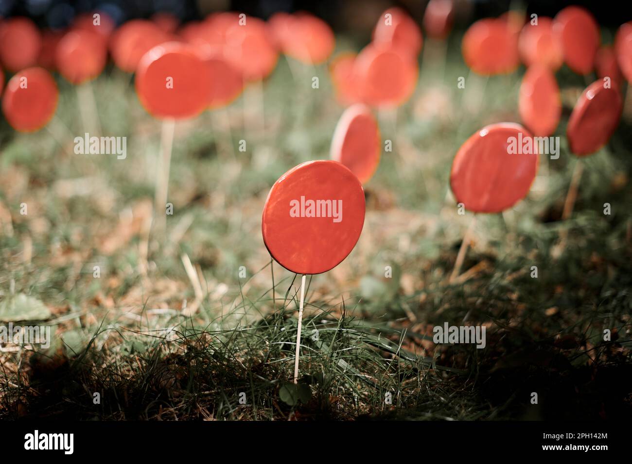 Red lollipops on stick against green grass, outdoor land art objects ...